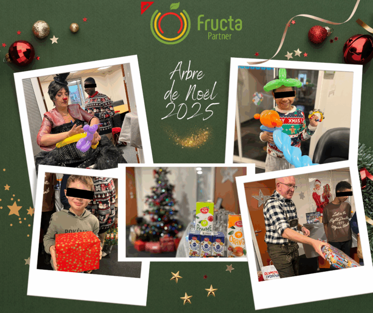 Arbre de Noël FRUCTA PARTNER - Fructa Partner